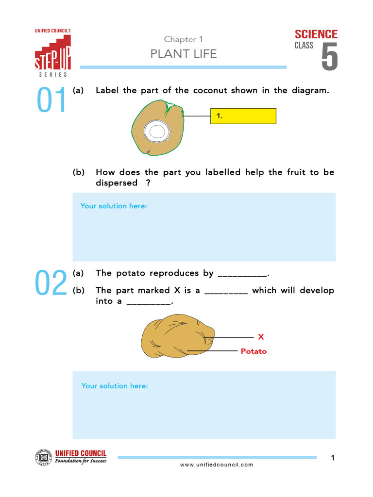 Chapter-1 STEPUP SCIENCE CLASS 5 QP | PDF | Seed | Plants