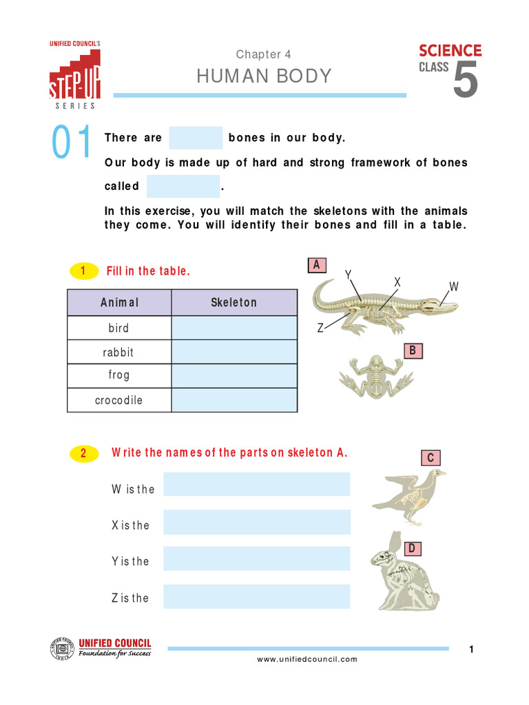 Chapter-4 STEPUP SCIENCE CLASS 5 QP | PDF | Brain | Central Nervous System