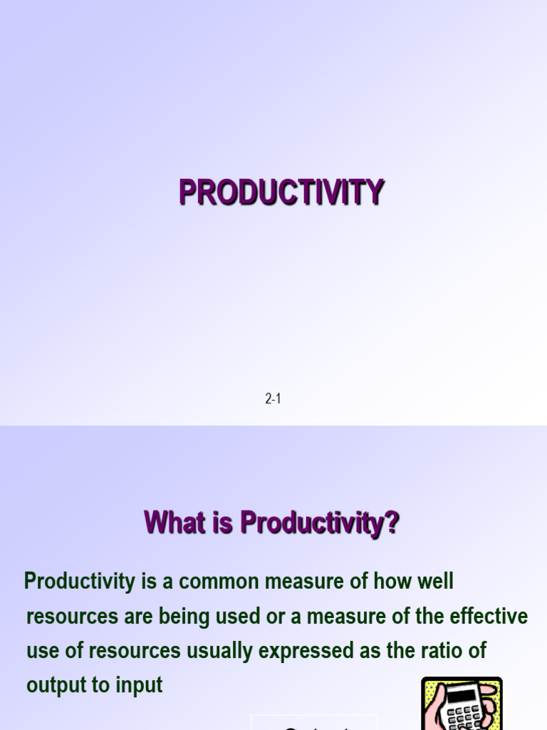 Understanding Productivity Metrics | PDF | Business Economics | Economics