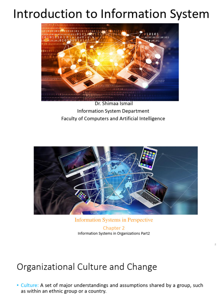 Introduction To Information System | PDF | Computer Hardware | Programmer