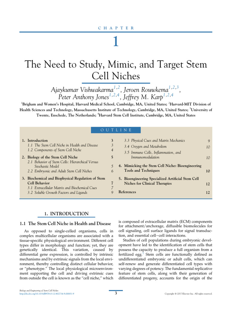 Vishwakarma Et Al. - 2017 - The Need To Study, Mimic, and Target Stem ...