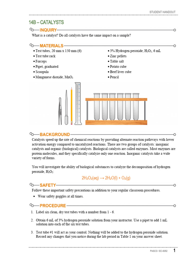 14B Catalysts | PDF | Catalysis | Hydrogen Peroxide
