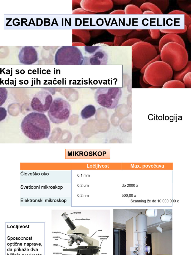 Zgradba Celice - St.2018.končna | PDF