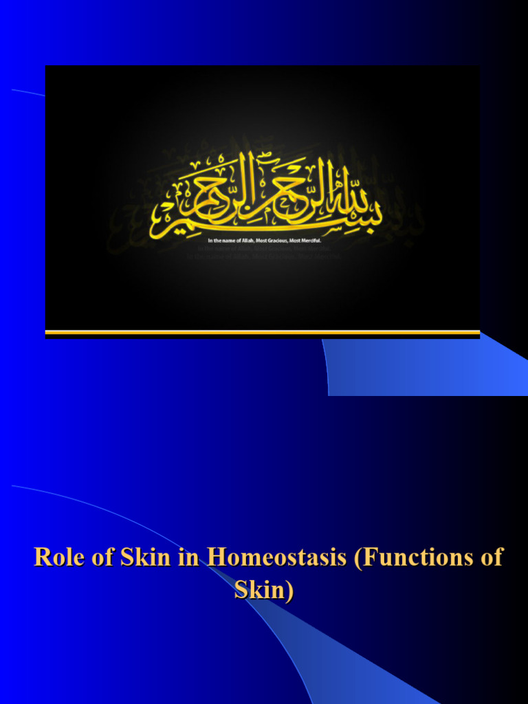 Role of Skin in Homeostasis | PDF | Epidermis | Skin
