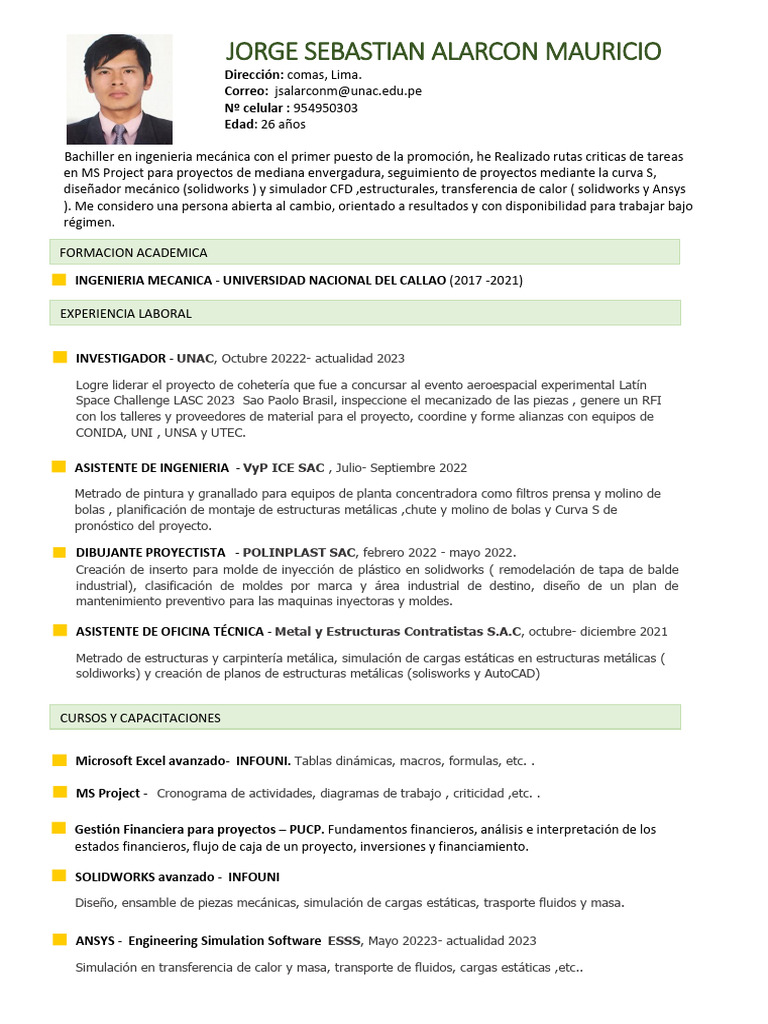 CV Jorge Alarcon | PDF | Ingeniería | Ciencias fisicas