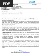 Anatomía de la Arteria Pedia del Pie | PDF | Pie | Dedo del pie