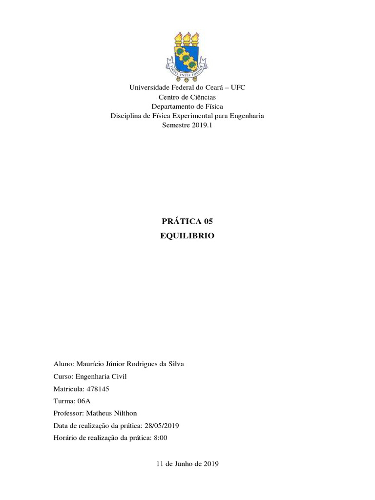 Prática 05 - Equilibrio | PDF | Massa | Inércia