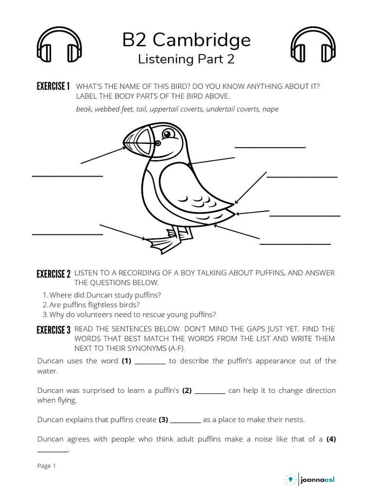 b2 Listening Part 2 Puffins | PDF | Birds | Ornithology