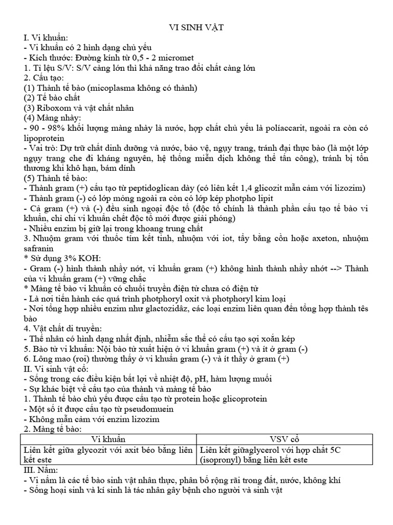 VSV thầy Thược | PDF