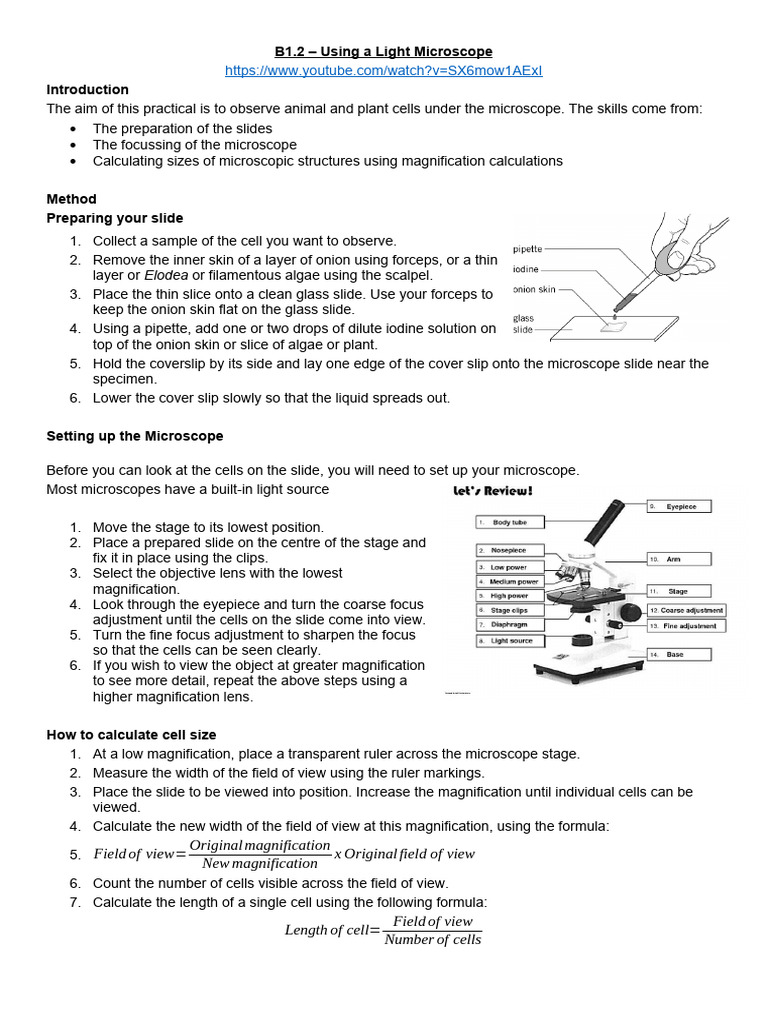 GCSE Combined RP Methodology + Video Links | PDF | Carbohydrates ...