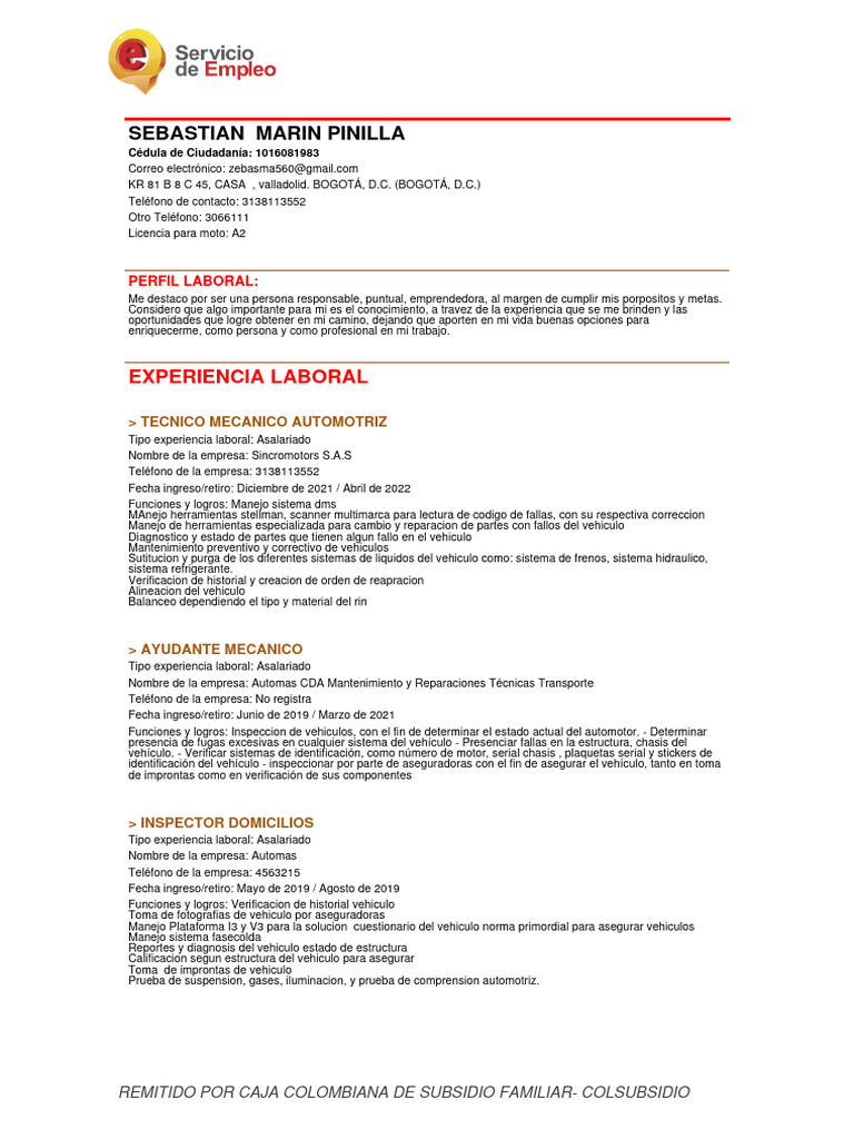 Sebastian Marin Pinilla | PDF | Business