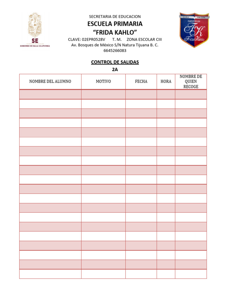 Control de Salidas | PDF
