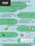 Monoterpenos: Estructura y Ejemplos | PDF | Compuestos orgánicos | Química