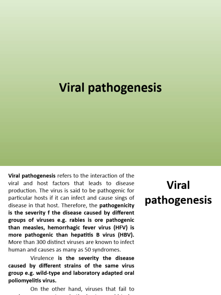 Viral Pathogenesis | PDF | Virus | Immune System