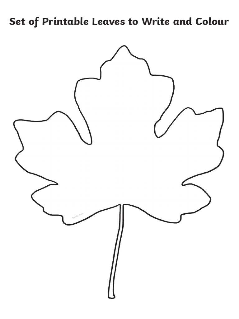 T TP 1634297899 Set of Printable Leaves To Write and Colour - Ver - 1 | PDF