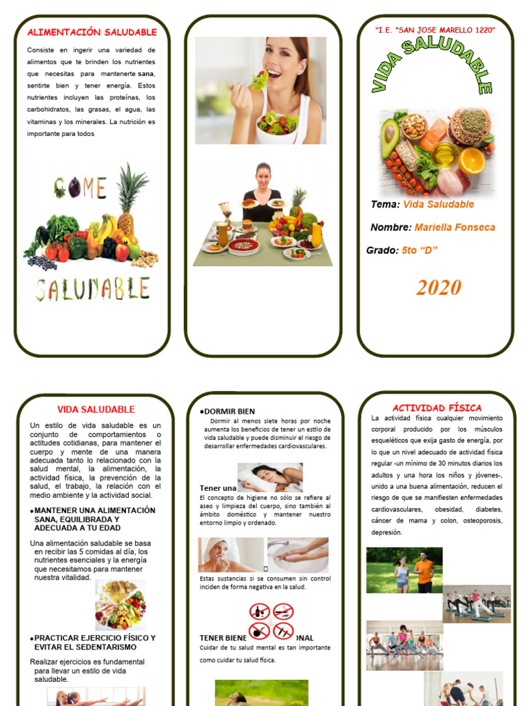 Triptico de Vida Saludable | PDF | Nutrición | Dieta y nutrición