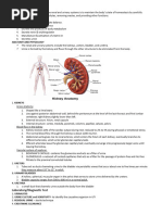 CT Urography: Techniques & Protocols | PDF | Ct Scan | Kidney