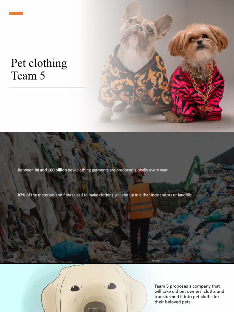 Sustainable Pet Clothing Initiative | PDF