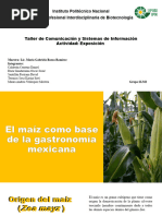 Chocolate y + Palabras en Náhuatl | PDF