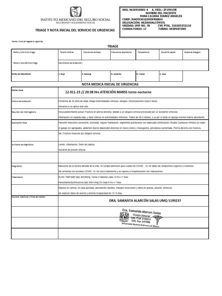 Formato Editable Hoja de Urgencias IMSS | PDF | Dolor de cabeza ...