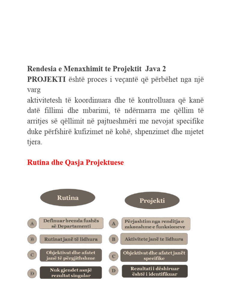 Rendesia e Menaxhimit Te Projektit Java 2 | PDF
