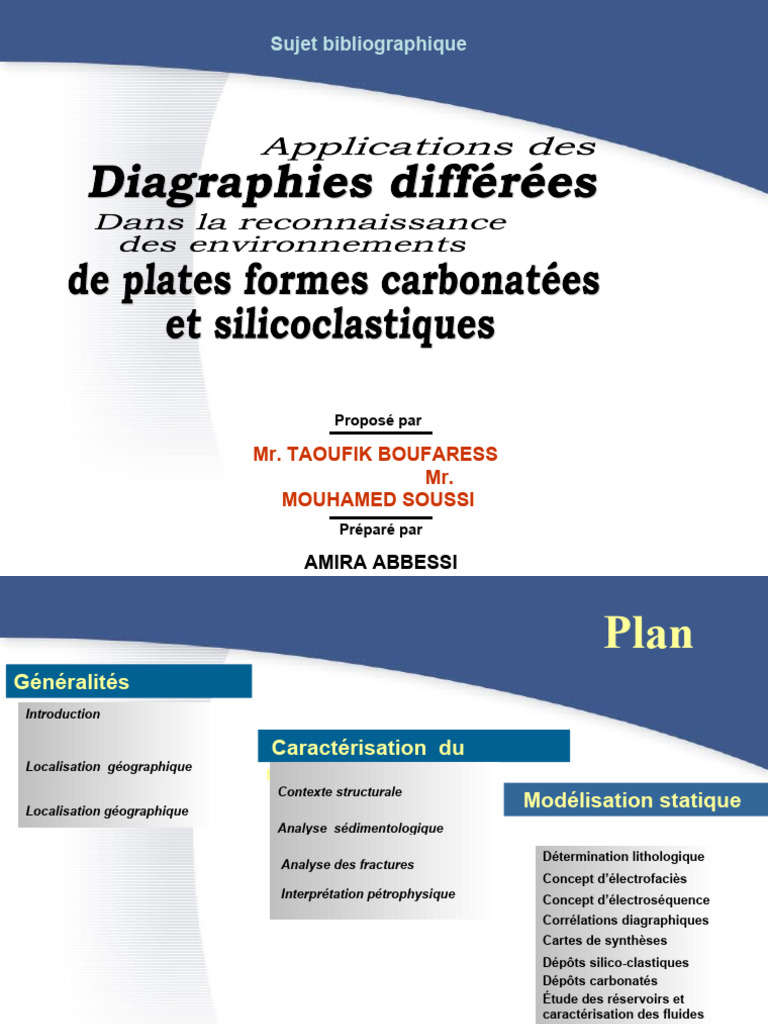 Diagraphies Différées Par Amira Abbessi | PDF | Radioactivité | Porosité