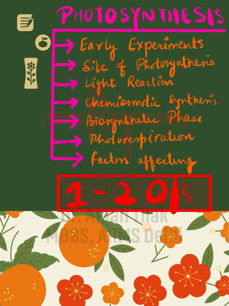 Photosynthesis in Plants ? | PDF | Photosynthesis | Biology