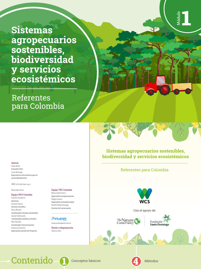WCS Modulo 1 Referentes para Colombia Compressed | PDF ...