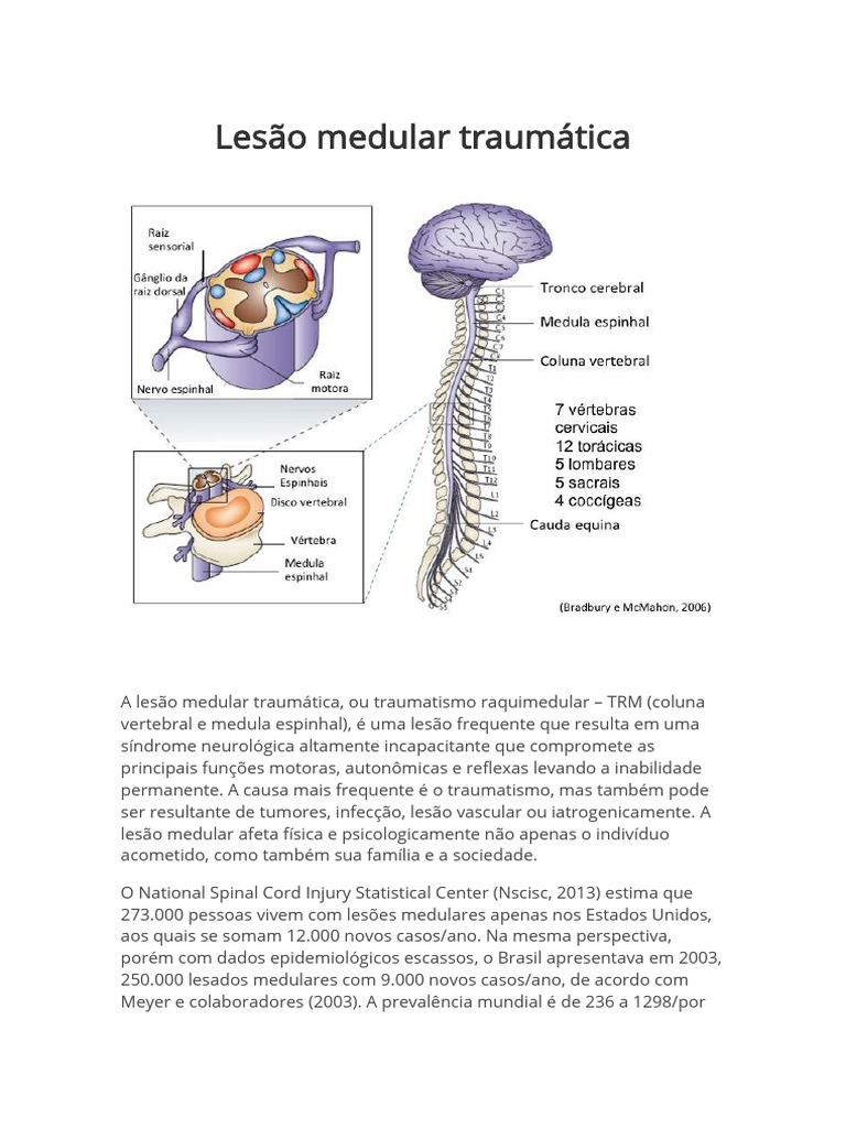 2_Lesão Medular Traumática | PDF | Fisiologia | Medicina Clínica
