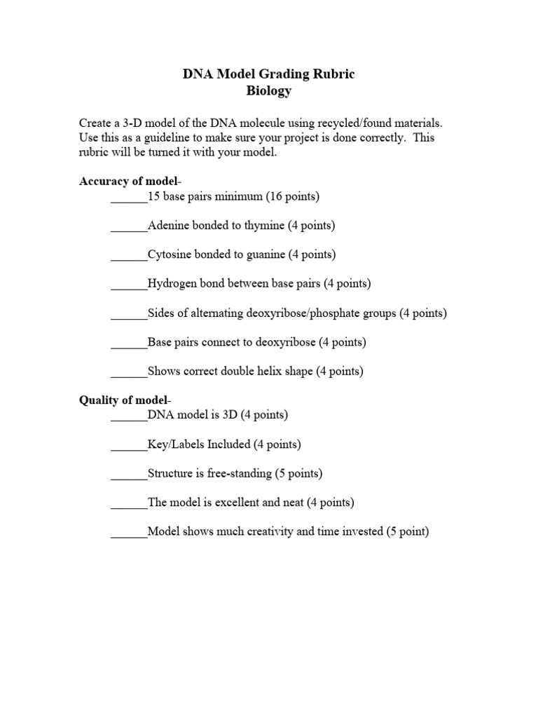 DNA Model Grading Rubric | PDF