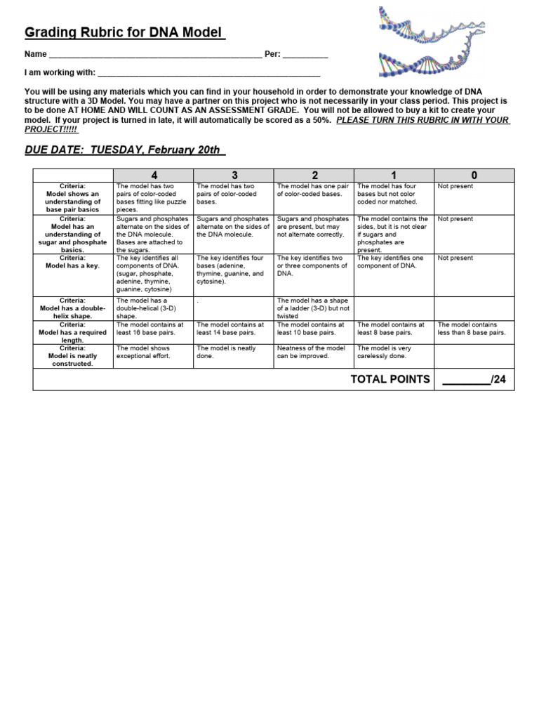 DNA Model Project Rubric | PDF | Dna | Base Pair