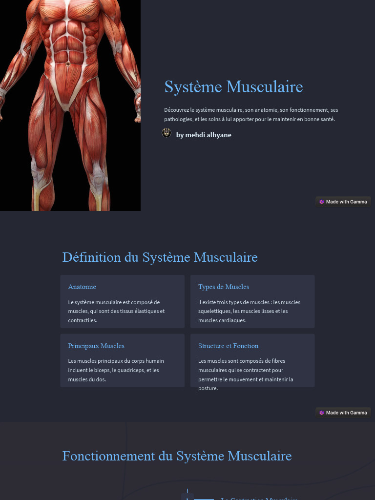 Système Musculaire: by Mehdi Alhyane | PDF | Muscle squelettique | Organe