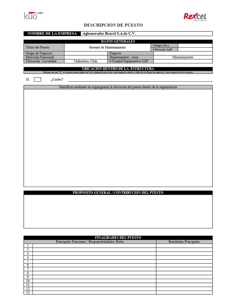 Formato de Descripcion de Puestos | PDF | Planificación | Iniciativa empresarial