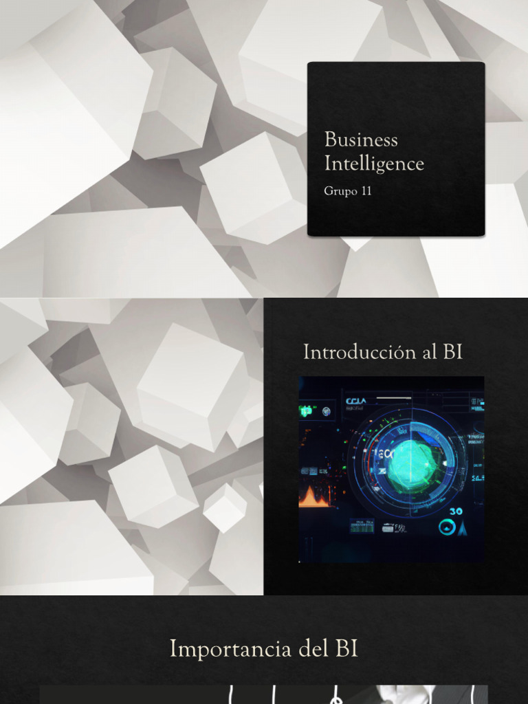 Business Intelligence | PDF