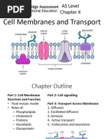 Cellular - Transport - Study - Guide - Answer Key | PDF | Osmosis ...