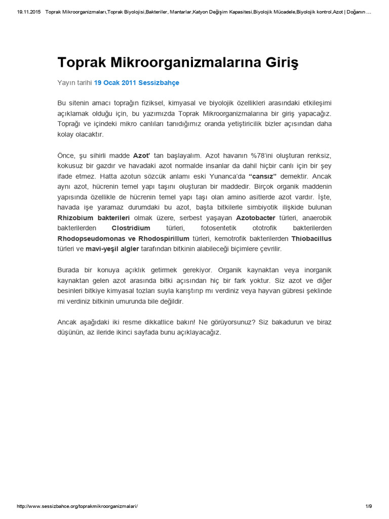 Toprak Mikroorganizmalarına Giriş: Yayın Tarihi | PDF