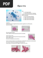 Chavei | PDF