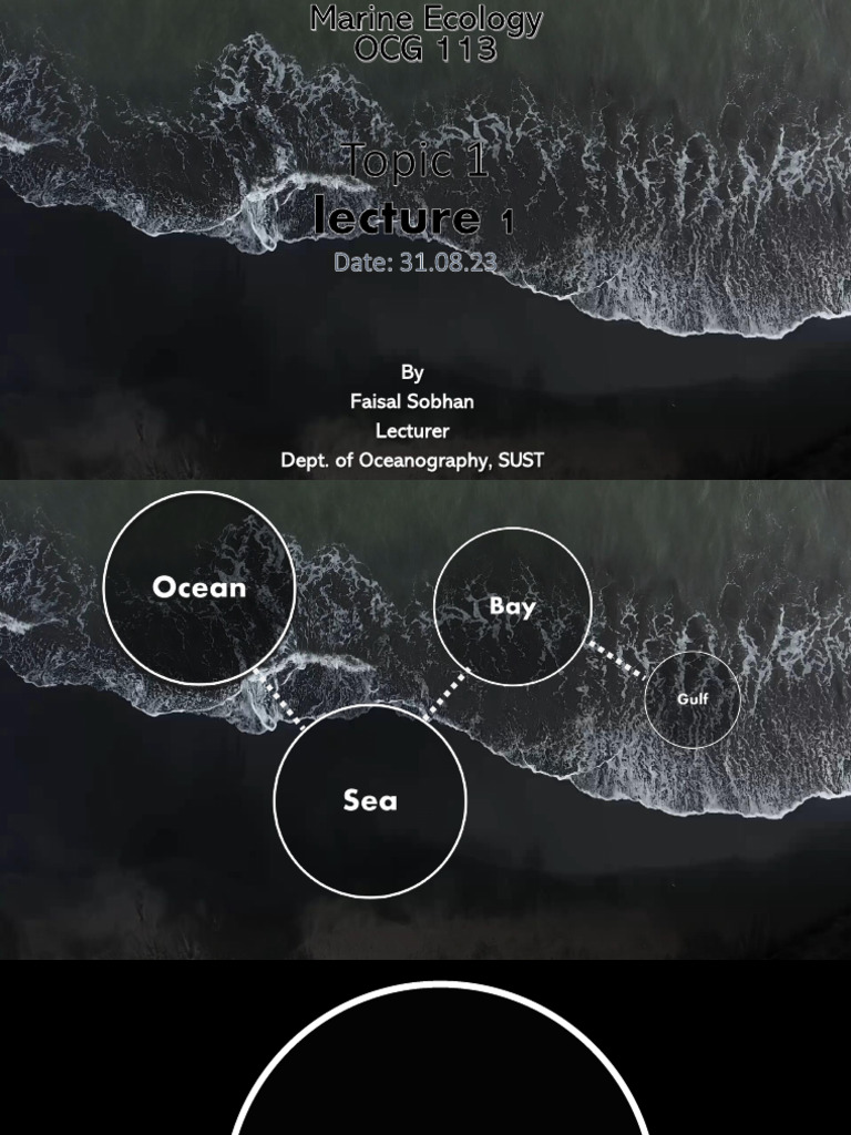 Introduction to Marine Ecology Concepts | PDF | Tide | Wound