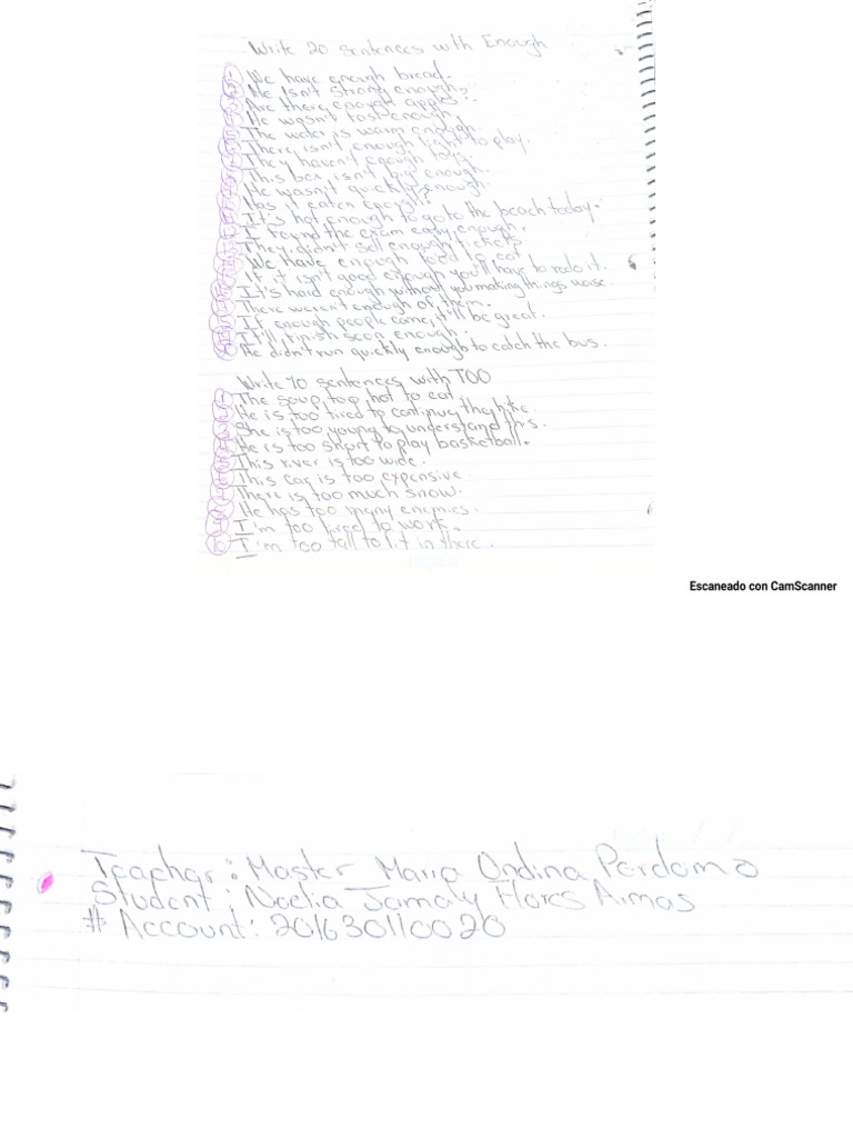 Homework 2 Iip Pdf