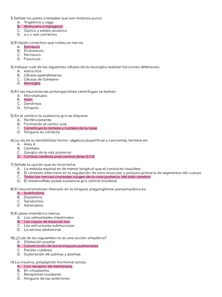 Preguntas Procesos COMPLETO | PDF | Digestión | Sistema digestivo humano
