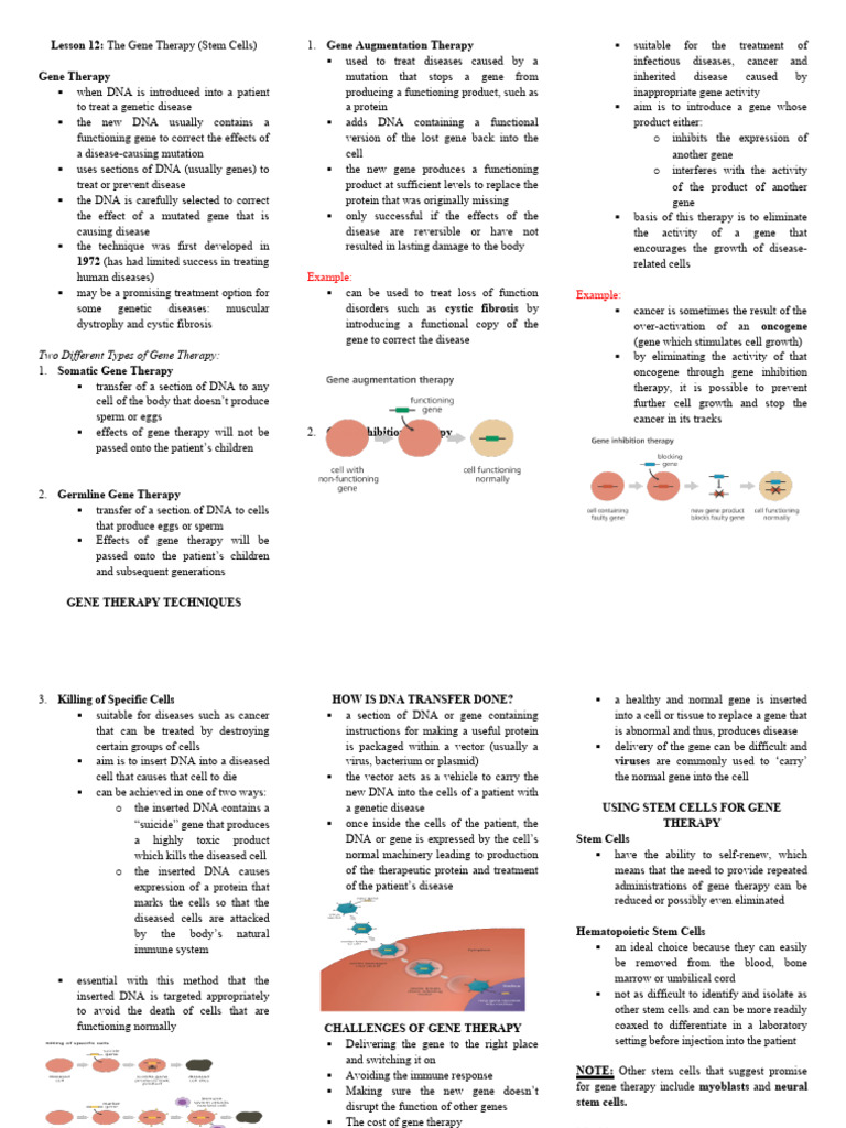 Lesson 12 | PDF | Gene Therapy | Stem Cell