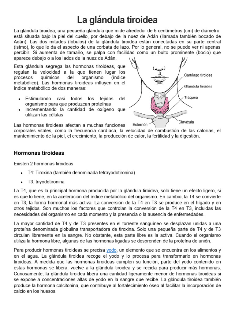 Hipertiroidismo Yami | PDF | Tiroides | Hipertiroidismo