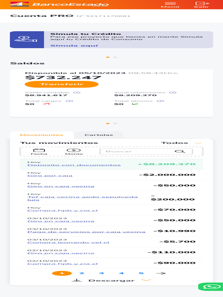 Resumen de Movimientos Bancarios | PDF | Hogar, jardinería y bricolaje