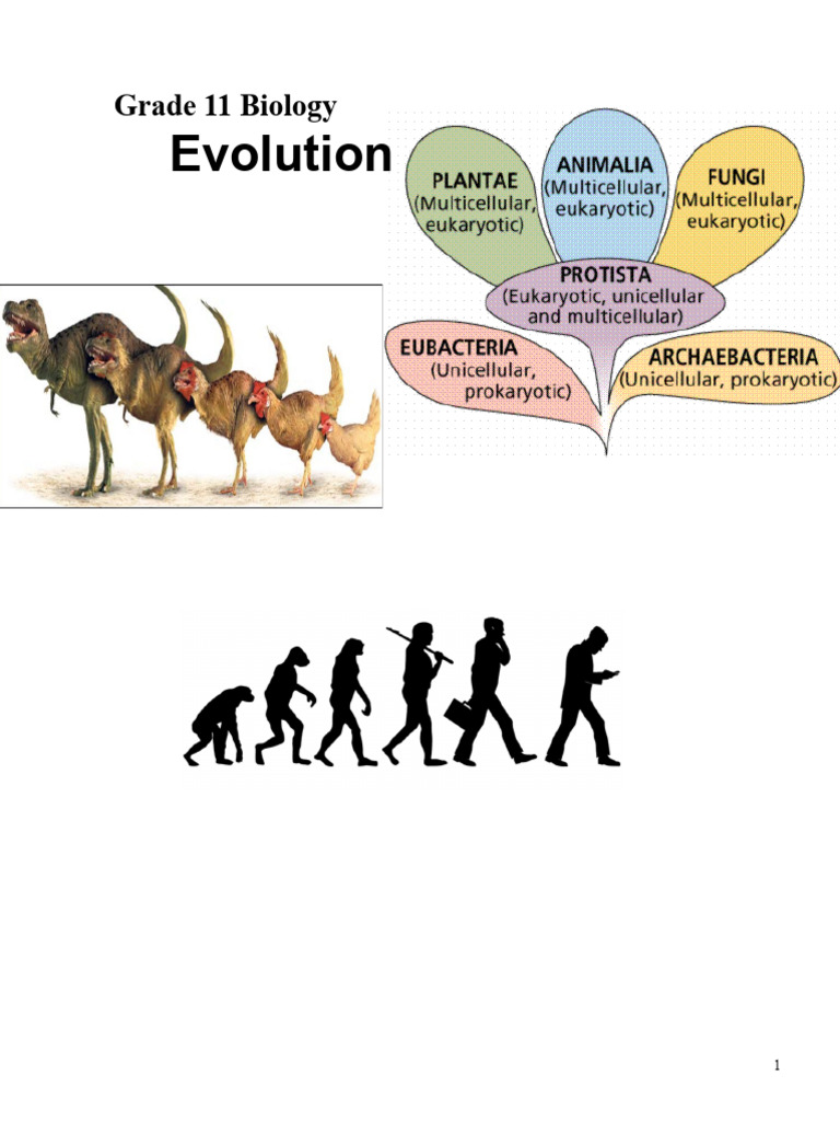 Evolution Handout | Download Free PDF | Natural Selection | Nature