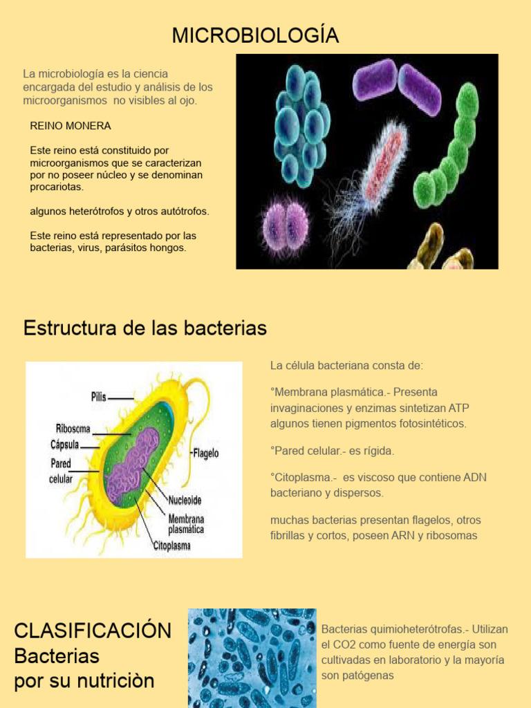 MICROBIOLOGIA | PDF | Las bacterias | Virus