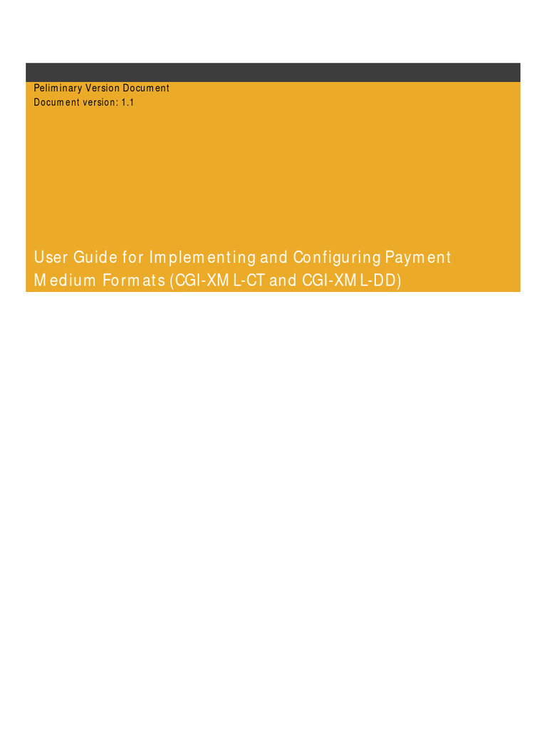 Payment Formats User Guide 1 1 Pdf Payments Accounts Payable