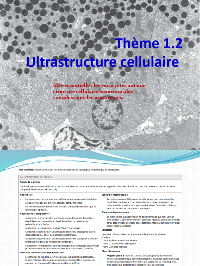 Ultrastructure des cellules : eucaryotes vs procaryotes | PDF | Cellule ...