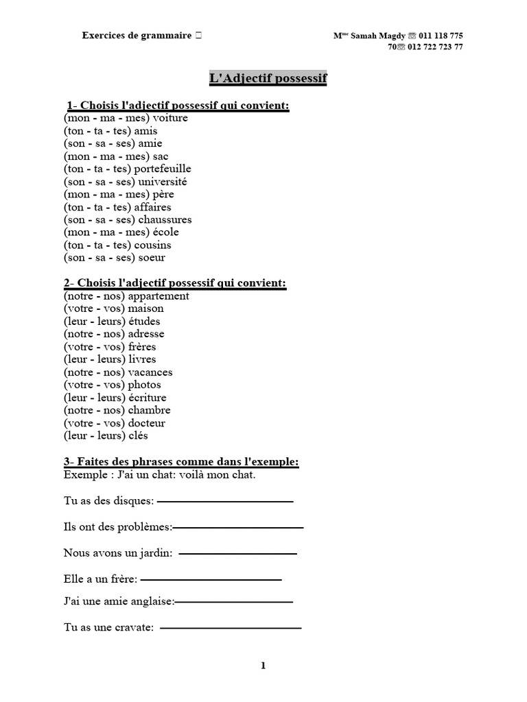 Exercices de Grammaire | PDF