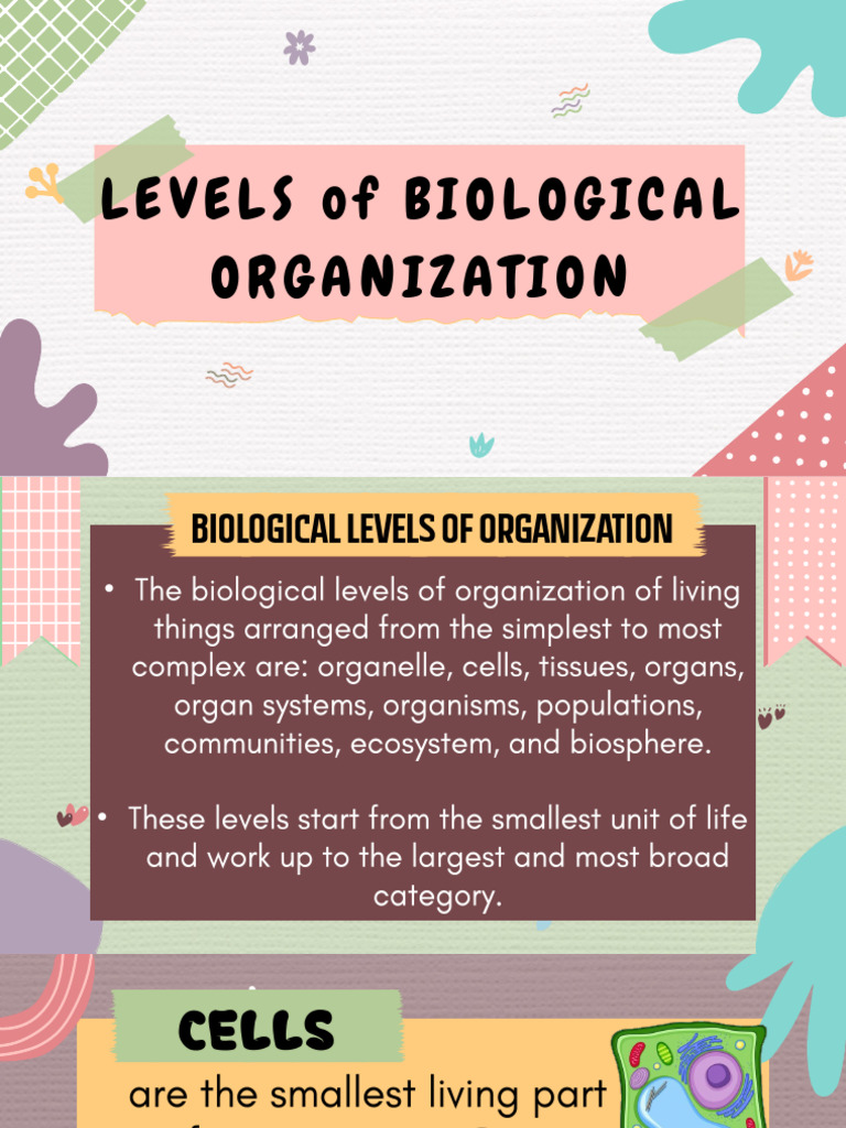Biological Levels of Organization Explained | PDF