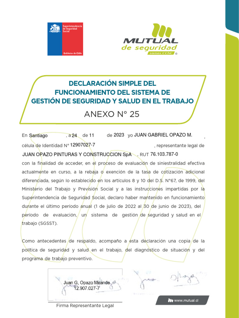 Declaracion-Simple-Sst-V6-1-2023 Ok | PDF